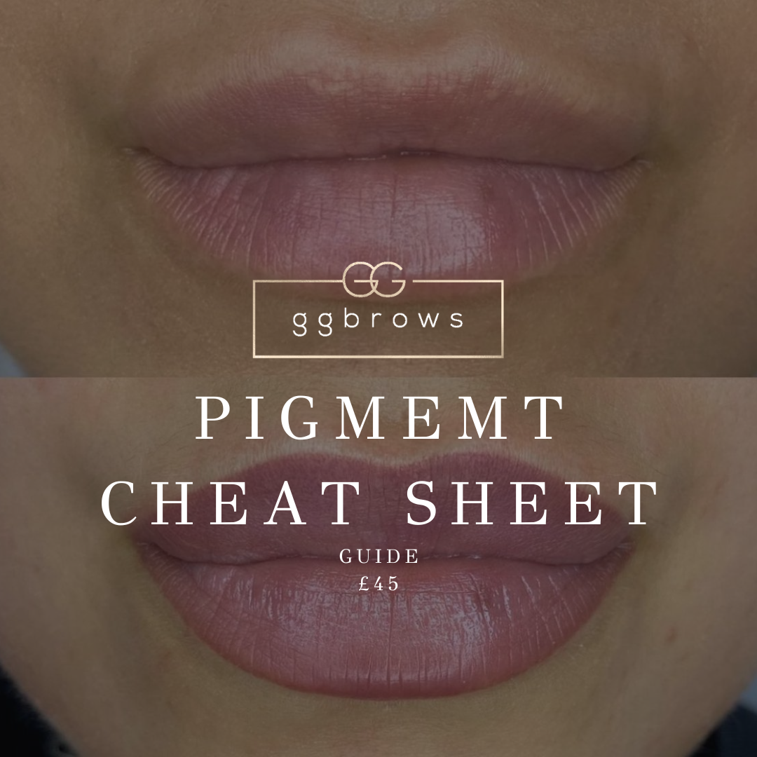 Lip Blush Pigment Cheat Sheet – GgBrows