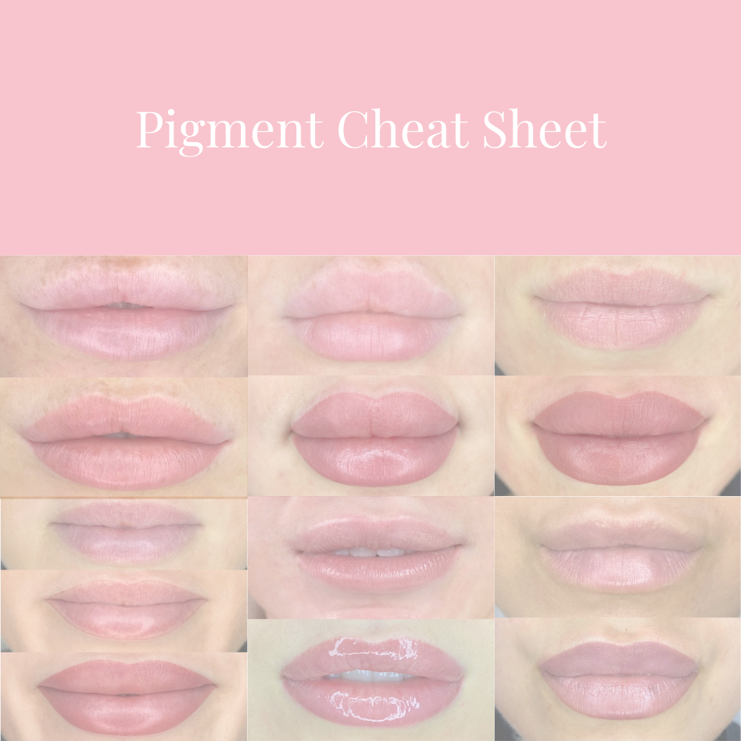Lip Blush Pigment Cheat Sheet – GgBrows